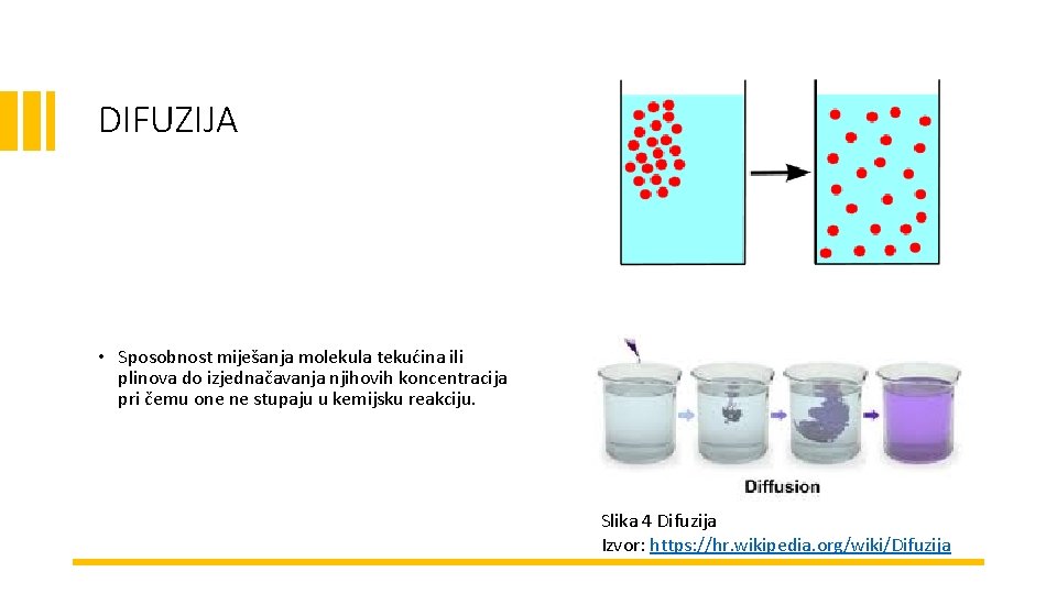 BILJKE I VODA Prvi oblici ivota razvili su