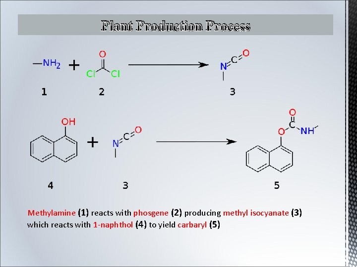 Bhopal Gas Tragedy Introduction The Bhopal Disaster which