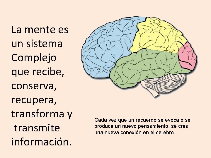 Arquitectura cognitiva humana La mente es un sistema