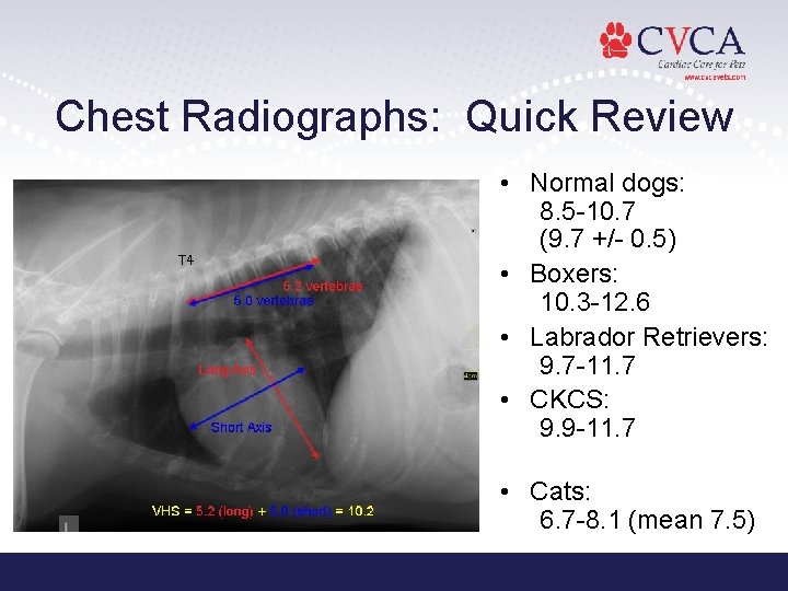 Emergency Management of Congestive Heart Failure in Small