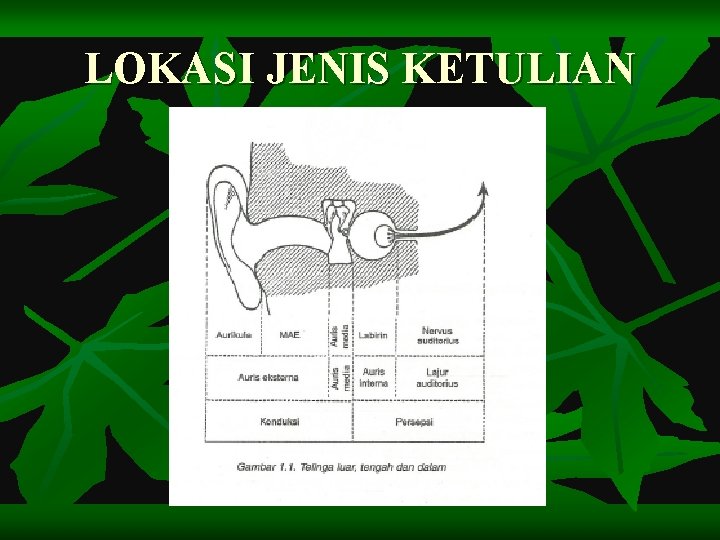 SKILL LAB 2 TES PENDENGARAN PEMERIKSAAN OSCE HARUS