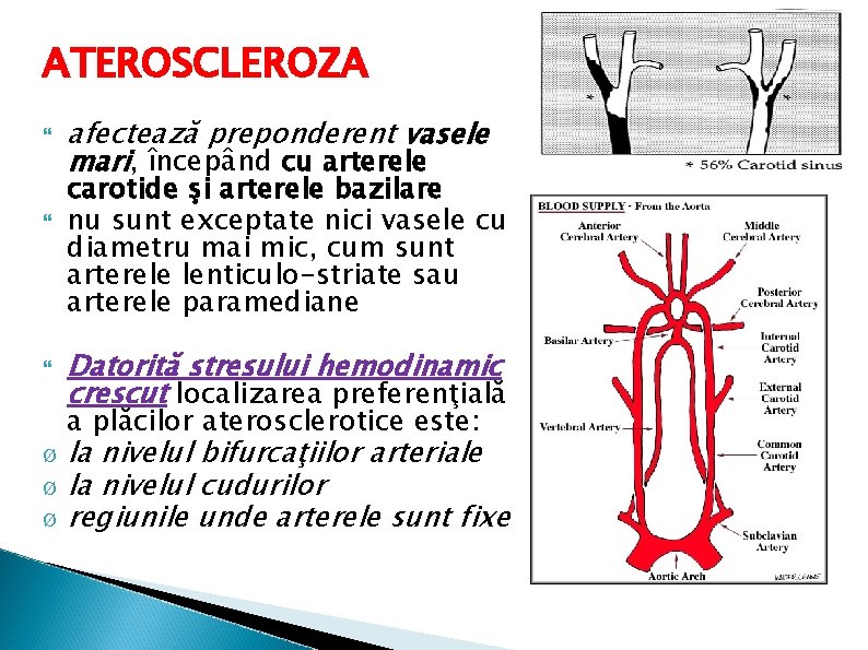 FIZIOPATOLOGIA SISTEMULUI NERVOS A FIZIOPATOLOGIA TULBURRILOR DE CIRCULAIE