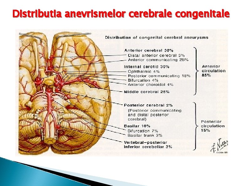 FIZIOPATOLOGIA SISTEMULUI NERVOS A FIZIOPATOLOGIA TULBURRILOR DE CIRCULAIE