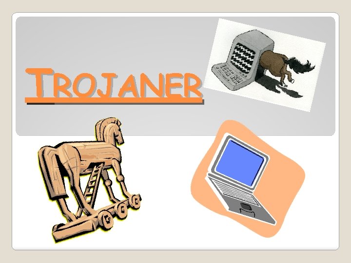 TROJANER Inhaltsverzeichnis Was ist ein Troja ner Charakteristik