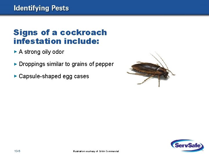 An Integrated Pest Management IPM program Uses prevention