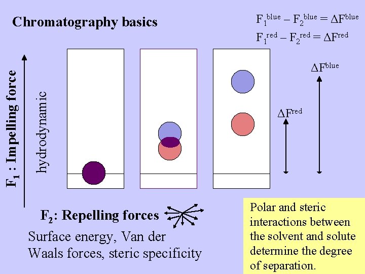 Stringent Response in Streptomyces coelicolor Differentiation formation of