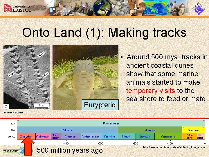 Onto Land 1 Making tracks Eurypterid Around 500