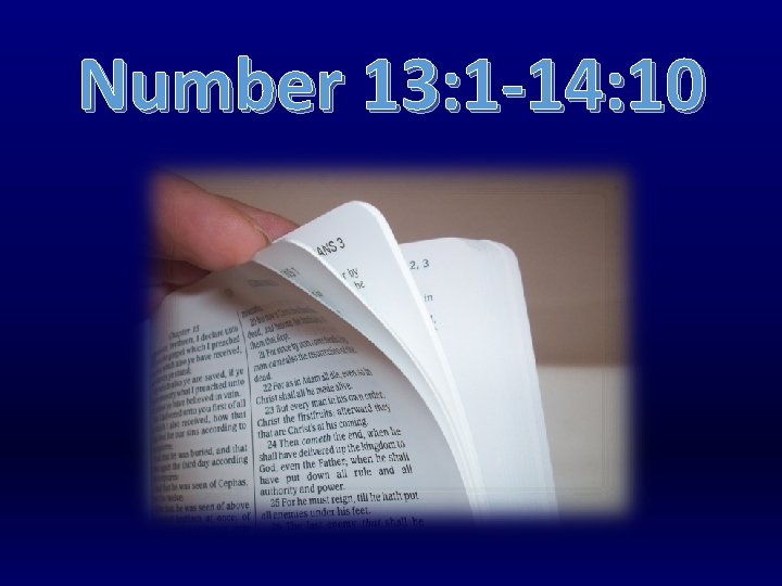 Numbers Chapter 12 daveaholtmsn com holts 4 him