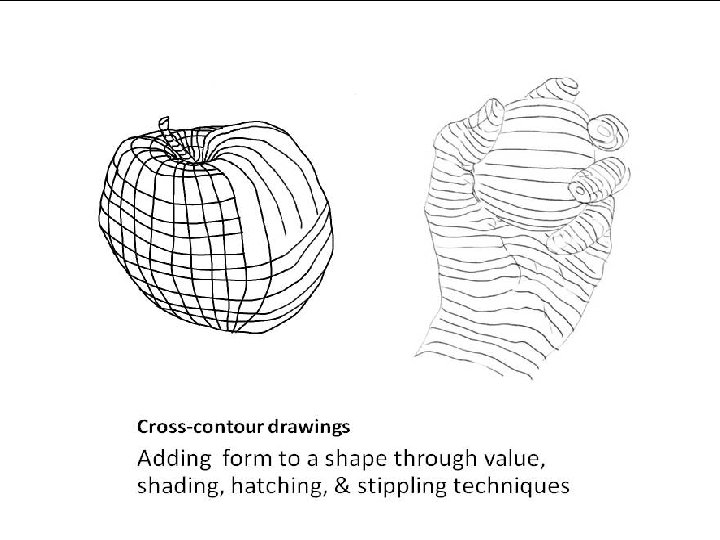Wrapped Contour Animals Objective Apply design skills while