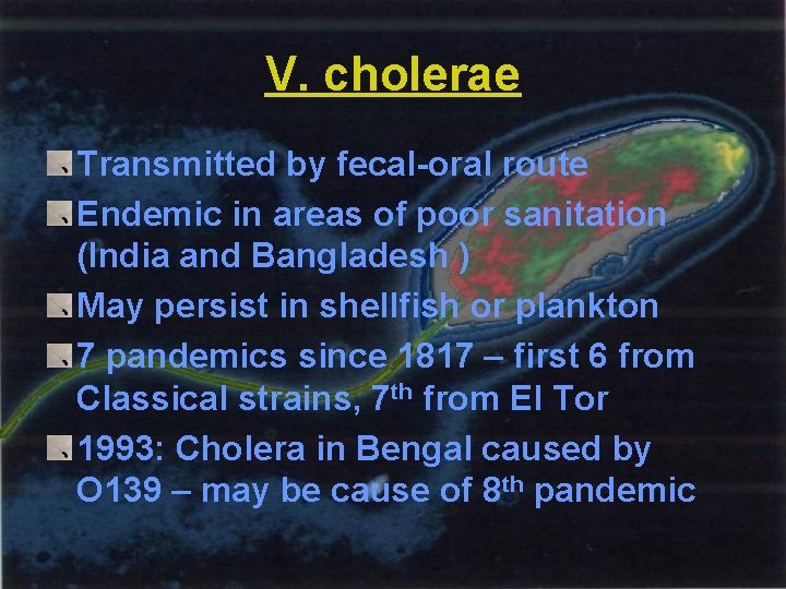 Vibrio cholerae Vibrio cholerae Introduction History ...