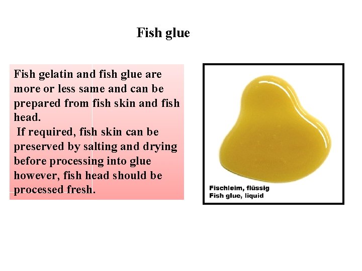 Fish by products Isinglass A transparent almost pure