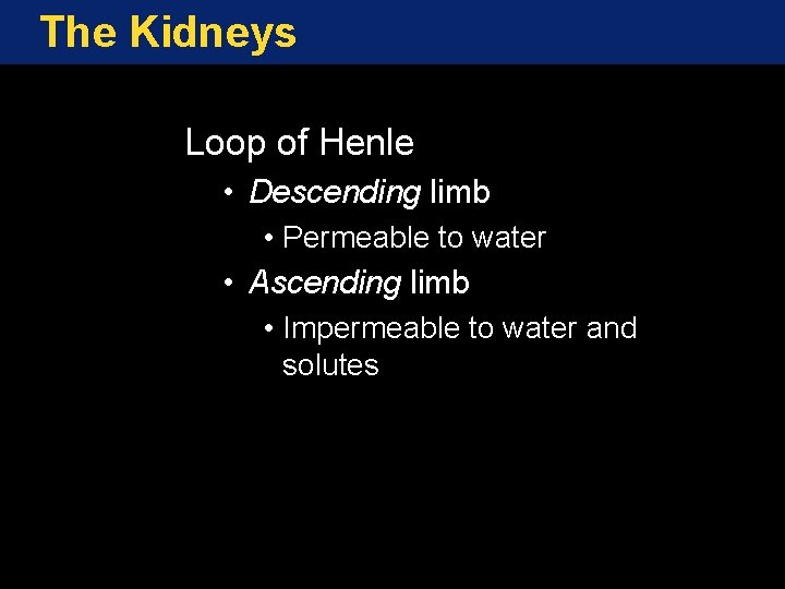 Urinary System Organization The Golden Rule The Job