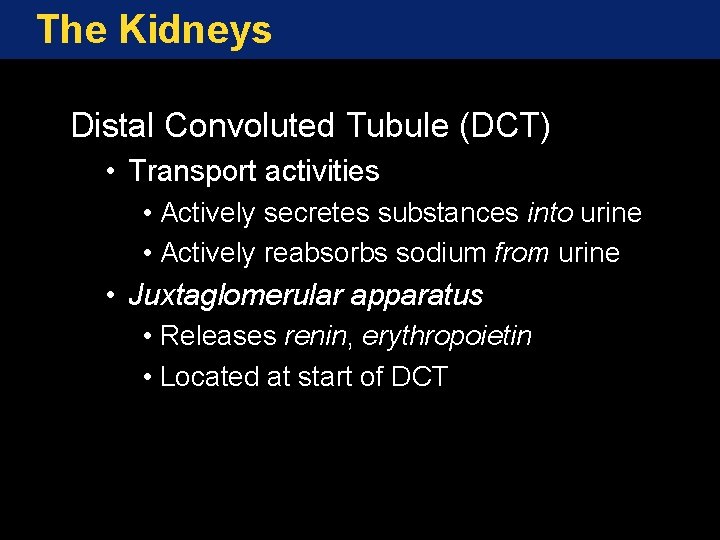 Urinary System Organization The Golden Rule The Job