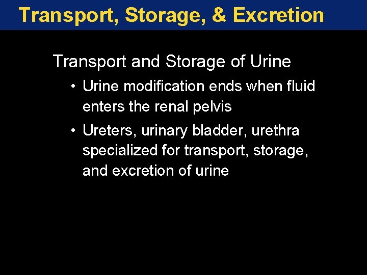 Urinary System Organization The Golden Rule The Job