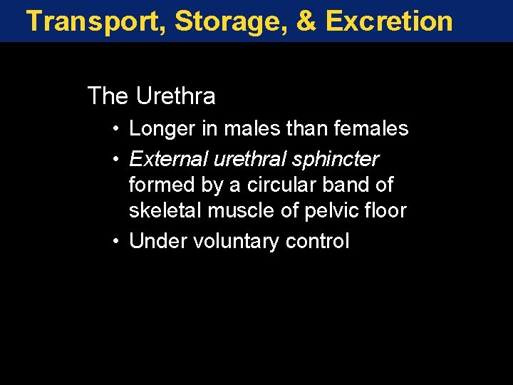 Urinary System Organization The Golden Rule The Job