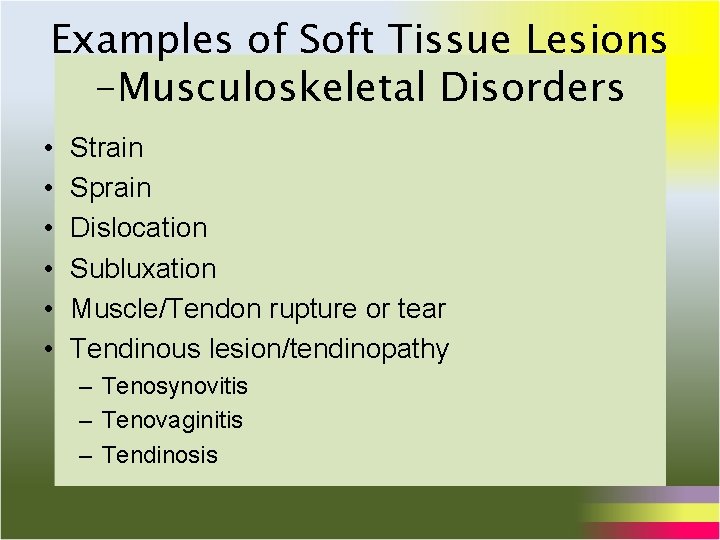Therapeutic Exercise I Chapter 10 Soft Tissue Injury
