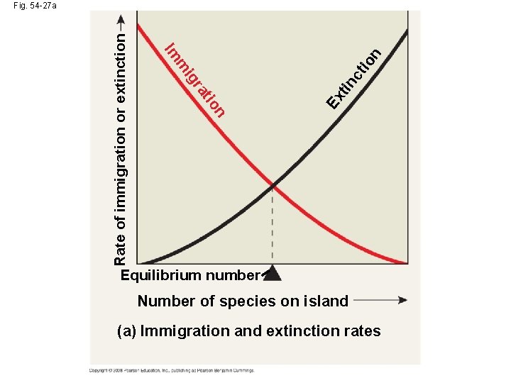 Fig 54 1 Fig 54 2 A distichus