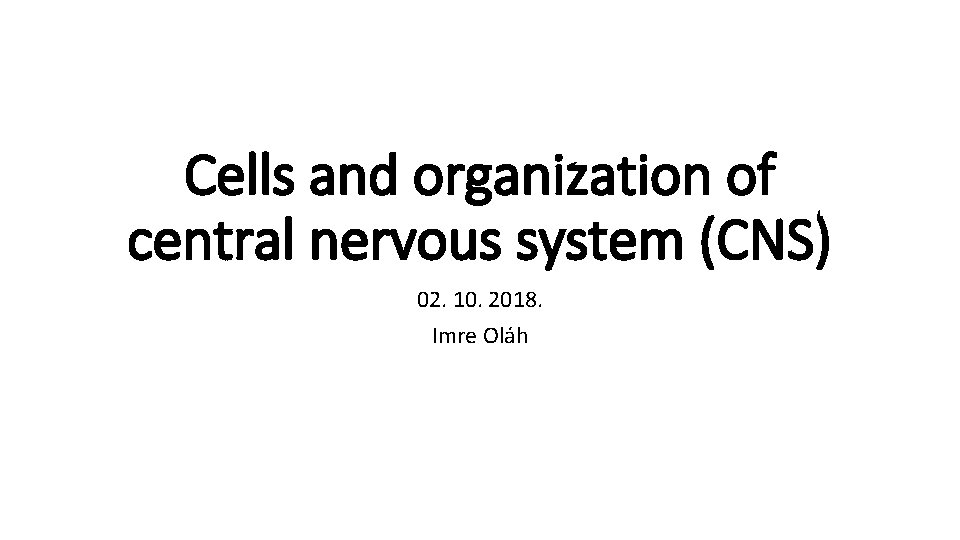 Cells and organization of central nervous system CNS
