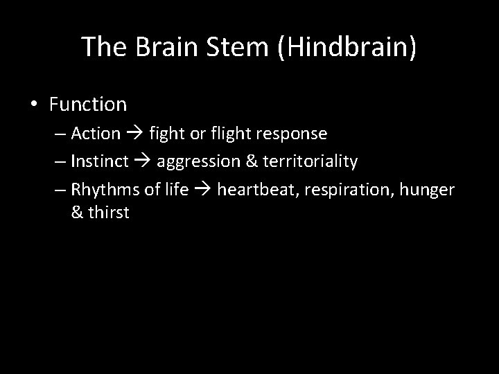 The Brain Anatomy Function HSP 3 U Psychology