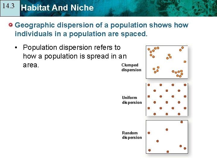 14 3 14 1 Habitat And Niche Population