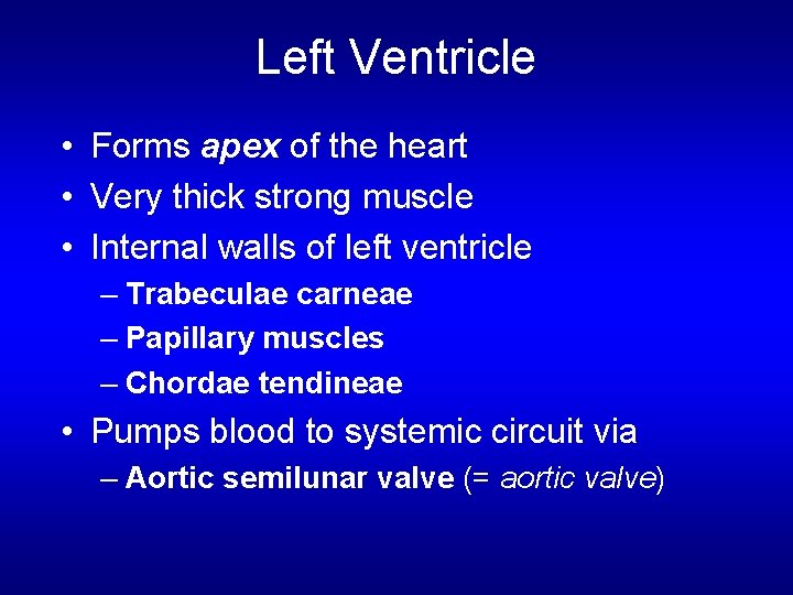 THE HEART Ch 19 Leonardo Da Vinci Human