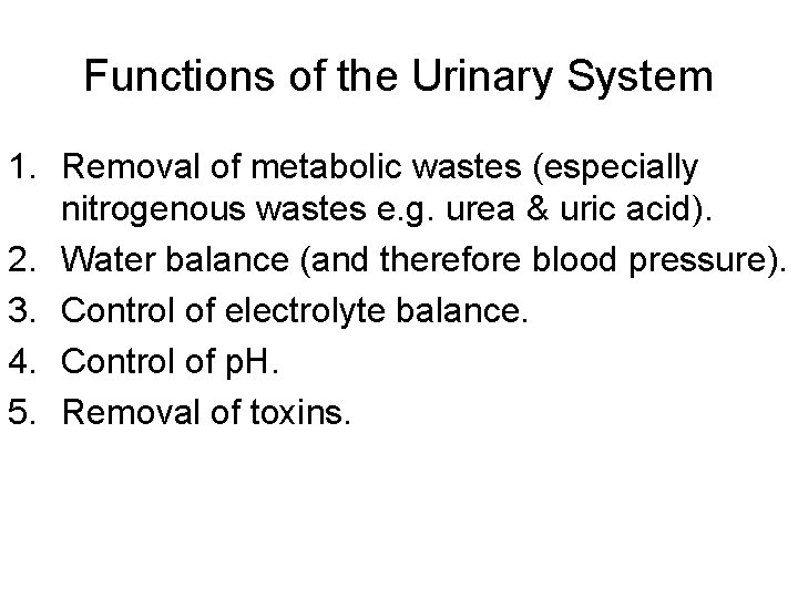 The Urinary System Chapter 26 or 25 Functions