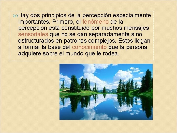 Percepcin visual Definicin La percepcin constituye un momento