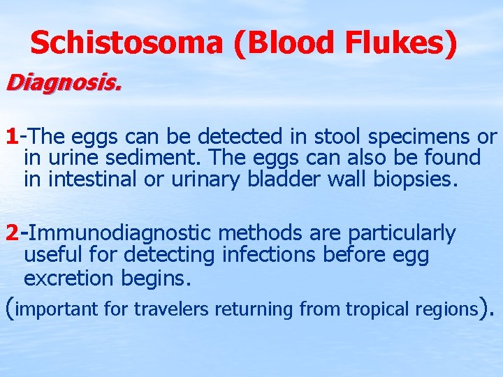 TREMATODES 1 Schistosoma Blood Flukes Do Dr Hrisi