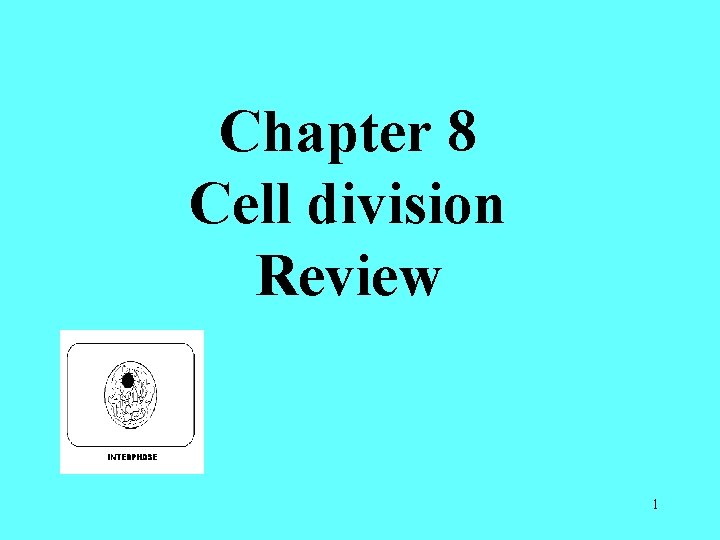 Chapter 8 Cell division Review 1 This spot