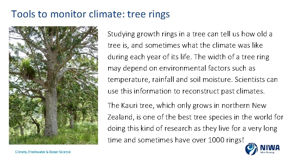 Understanding past climate can help predict the future