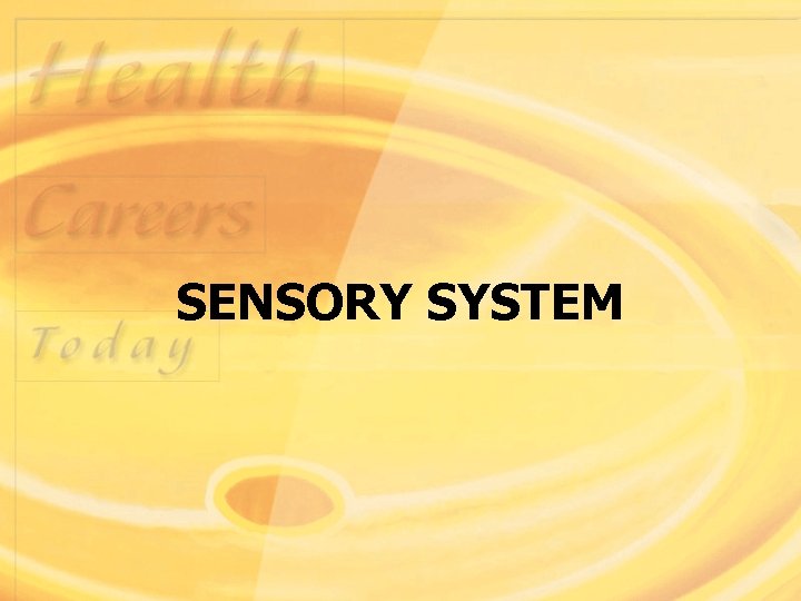 SENSORY SYSTEM Structure and Function Sensory system consists