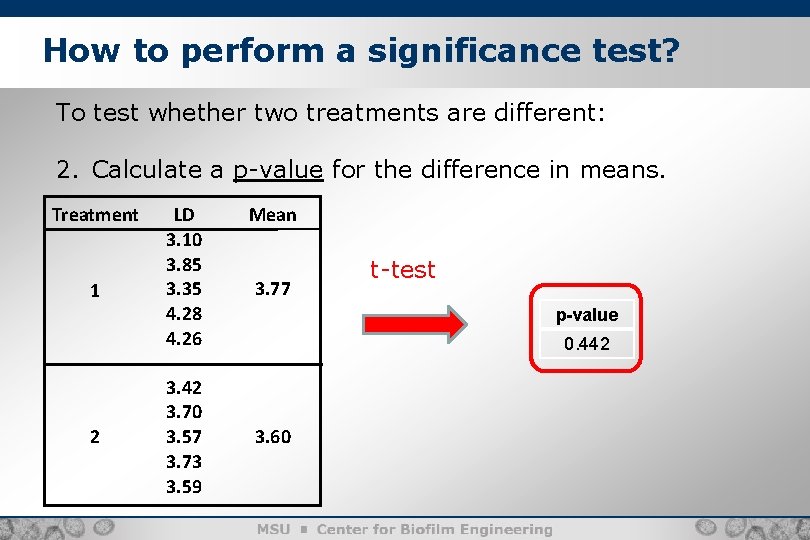 Center for Biofilm Engineering Using equivalence testing in