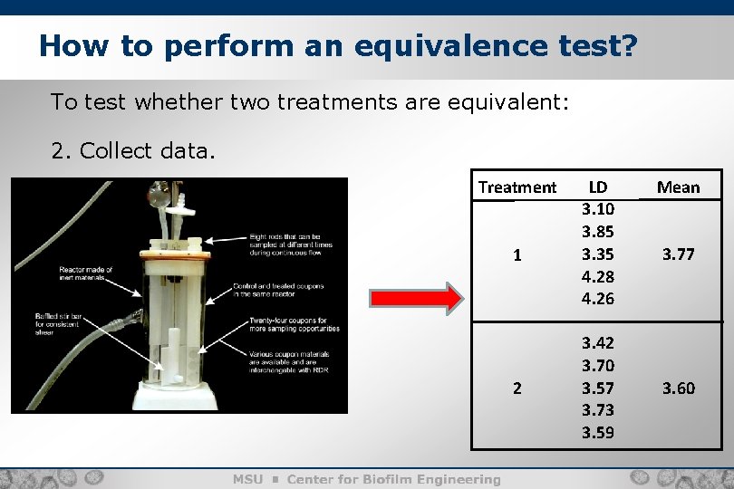 Center for Biofilm Engineering Using equivalence testing in