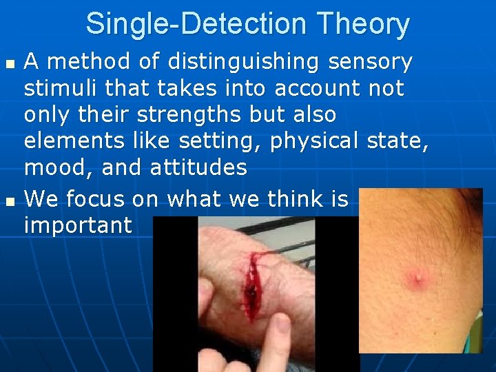Sensation and Perception Chapter 4 The Basics n
