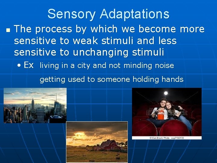 Sensation and Perception Chapter 4 The Basics n