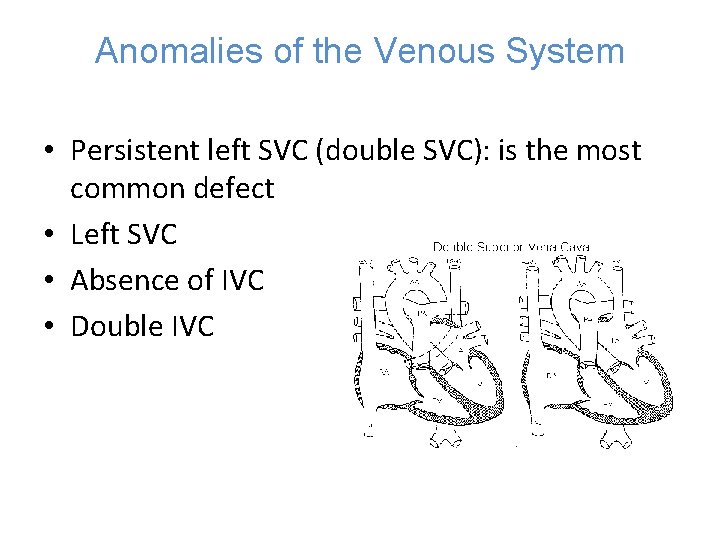 Development of the Veins Dr Shivarama Bhat Learning