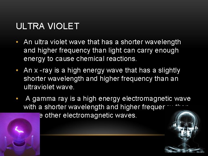Science Class Project Science Project By Gabriela Guerra