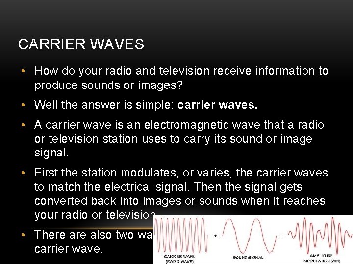 Science Class Project Science Project By Gabriela Guerra