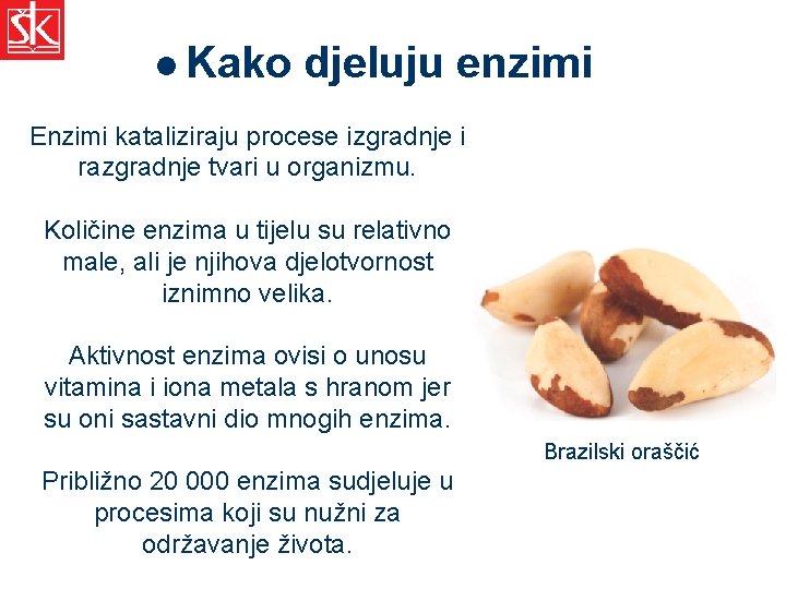 ENZIMI l to su enzimi Enzimi su bioloki