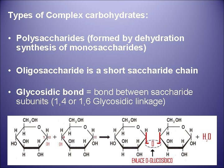 Carbohydrates Saccharides Structure of Saccharides Composed of monomers