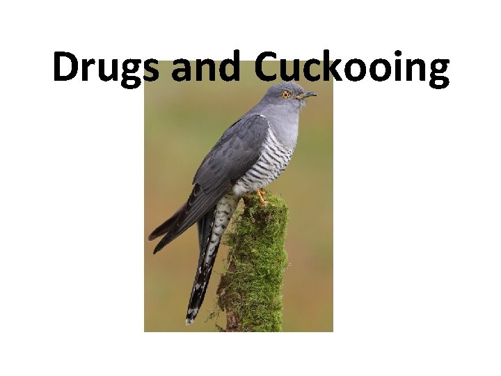 Drugs and Cuckooing What is a county line