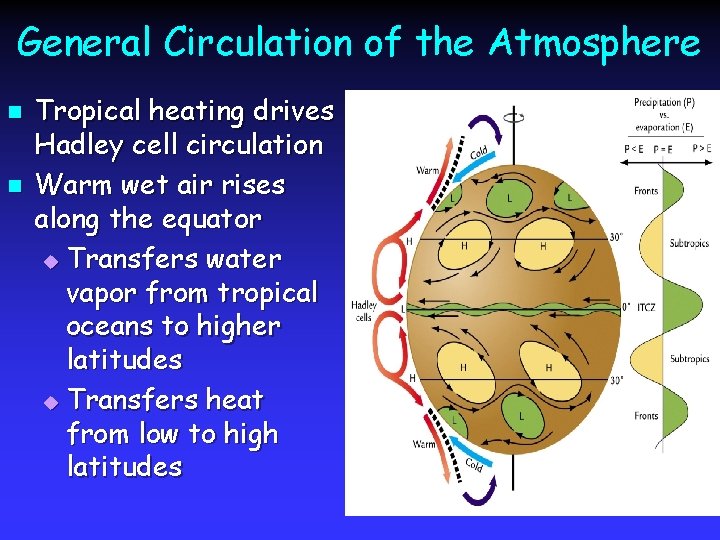 General Circulation of the Atmosphere n n Tropical