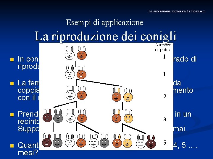 MATEMATICA E REALTA La successione numerica di Fibonacci