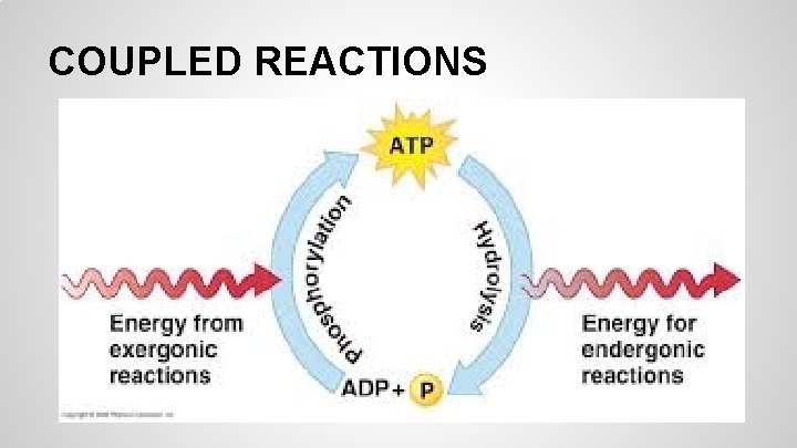 BIOCHEMISTRY AP BIOLOGY 2015 16 MOST IMPORTANT ELEMENTS