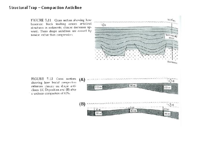 Classic Anticlinal Trap Model Structural Trap Compressional Anticline