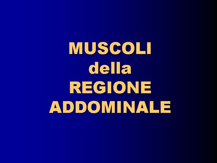 MUSCOLI della REGIONE ADDOMINALE SUDDIVISIONE REGIONALE DELL ADDOME