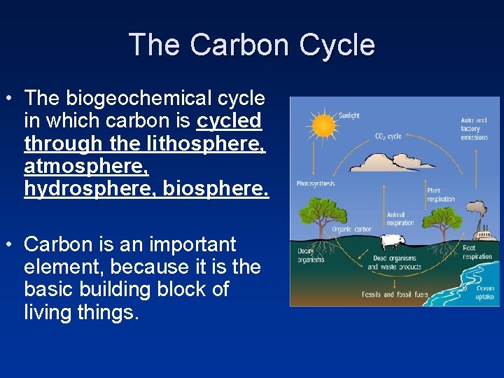 Cycling of Matter in Ecosystems The Water Cycle