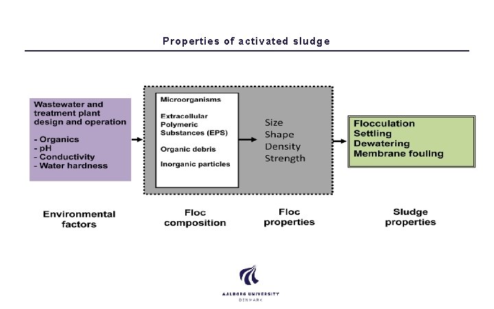 IMPACT OF SLUDGE PROPERTIES ON SOLID LIQUID SEPARATION