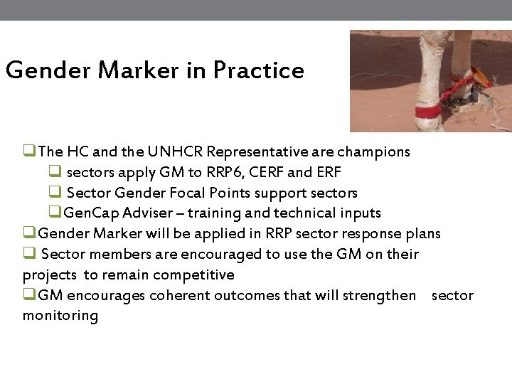 The Gender Marker Analysis and Coding Gender in