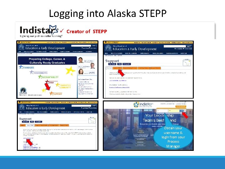 What is Alaska STEPP which stands for Steps